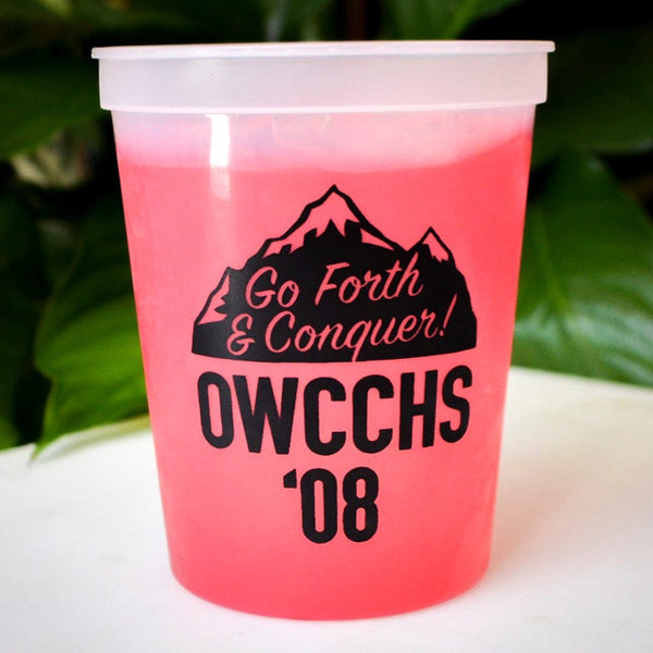 Color Changing High School Reunion Stadium Cups - GB Design House